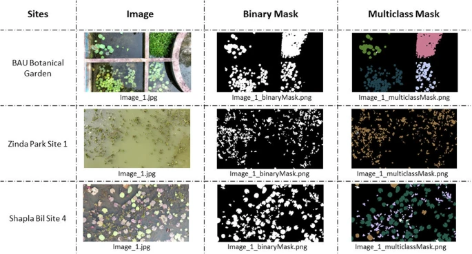 AqUavplant Dataset: A High-Resolution Aquatic Plant Classification and Segmentation Image ...